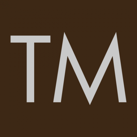 ttmm_icon - Tiempos Modernos